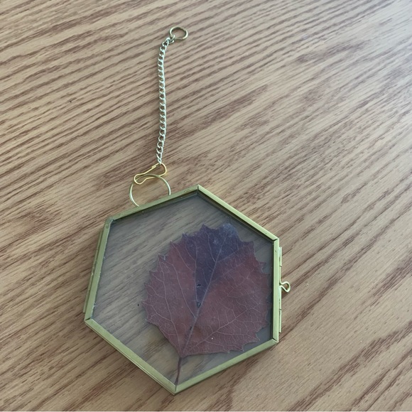 Handmade | Wall Decor | Handmade Pressed Leaf Specimen Frame | Poshmark